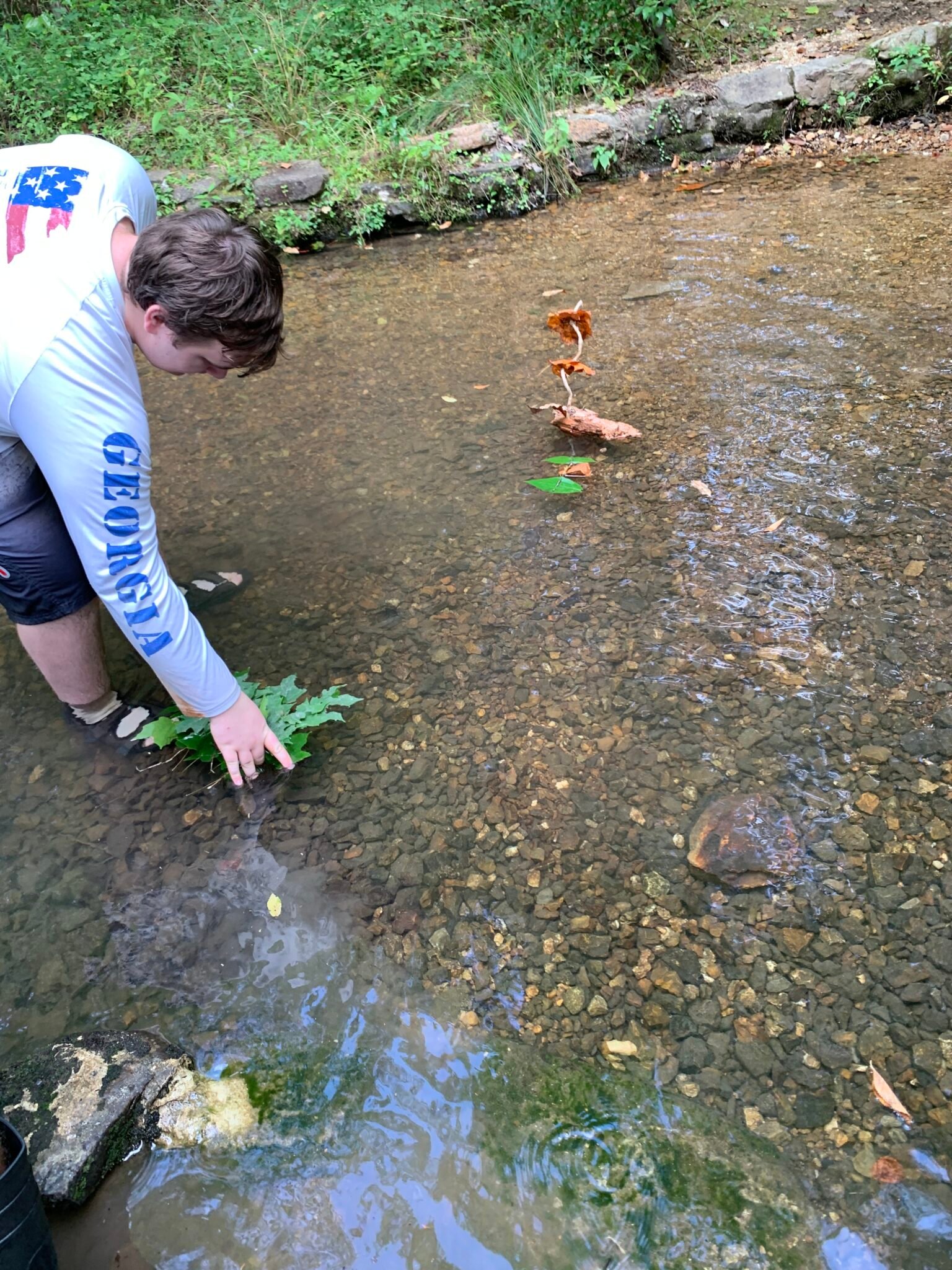Learning Through Wonder: Our Float & Build Nature Science Day – Aimee ...